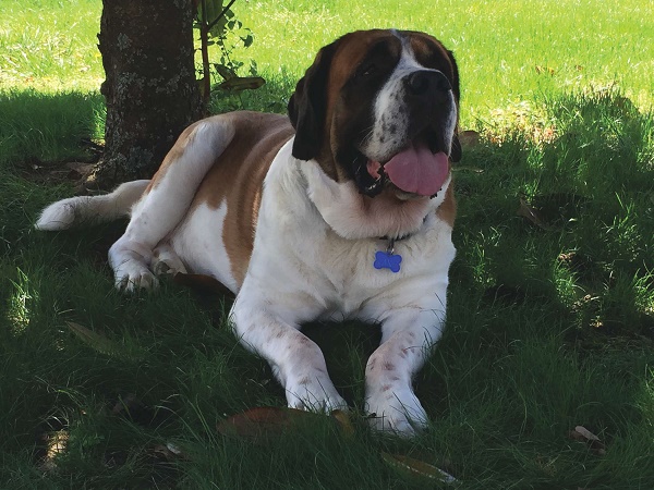 A behind-the-scenes look at Extol - Extol Media